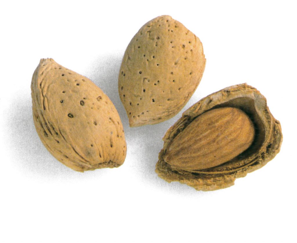 Közönséges mandula, napraforgó összetevői, Nemkívánatos hatások ...